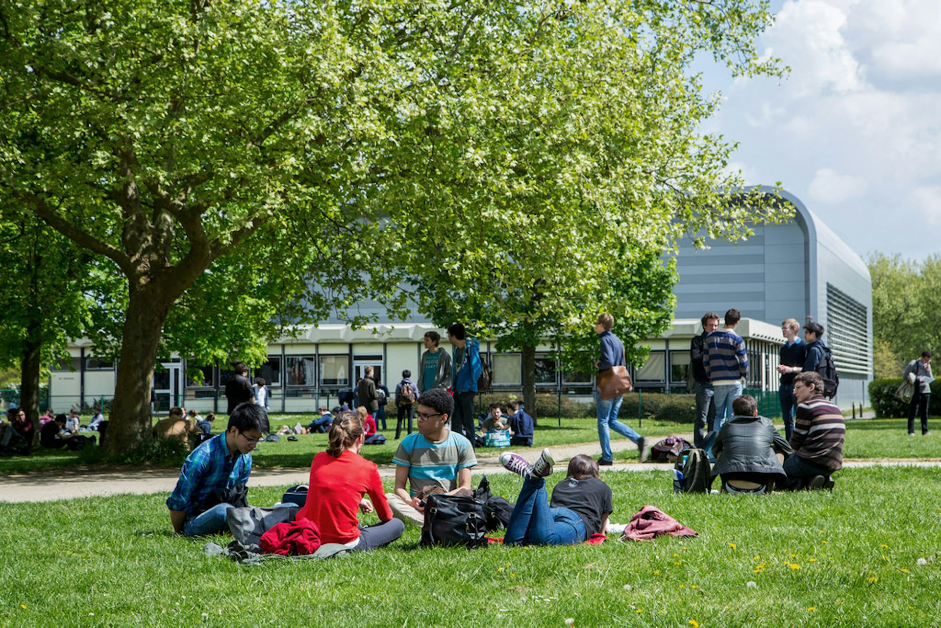 Pleine conscience, éducation et responsabilité