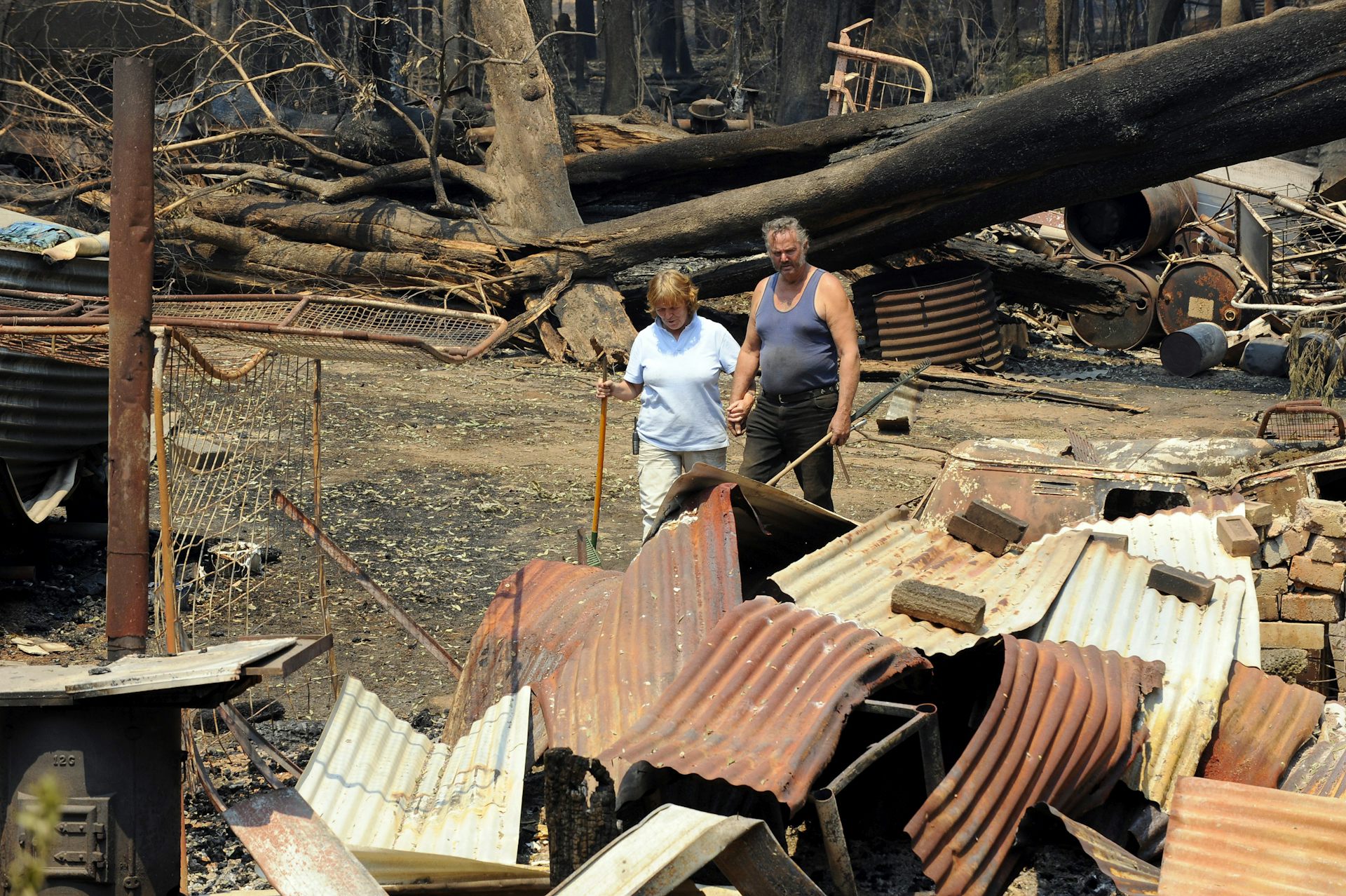 We can learn a lot from disasters, and we now know some areas don't recover