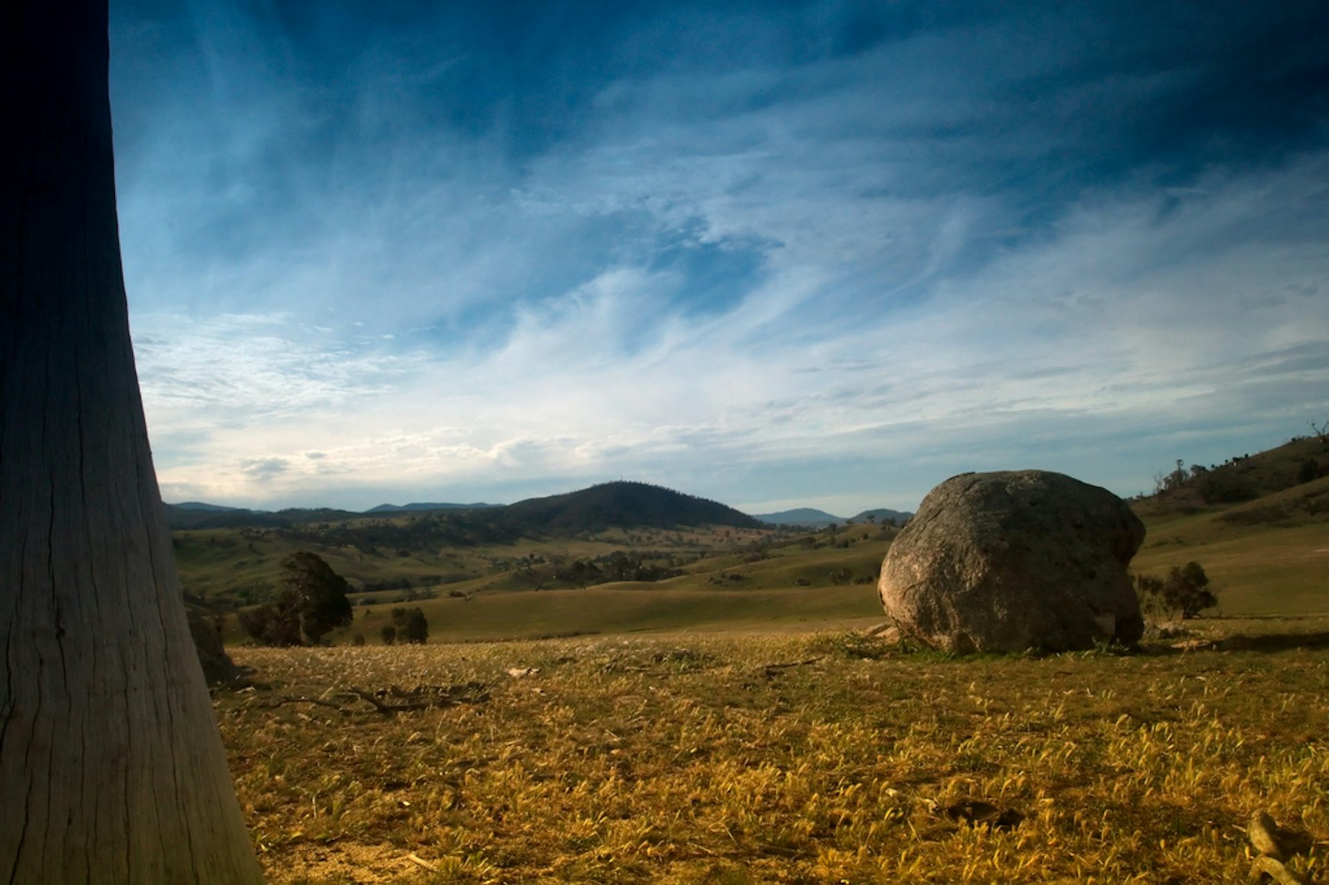 Climate change will transform the bush … and we’ll have to think big to ...