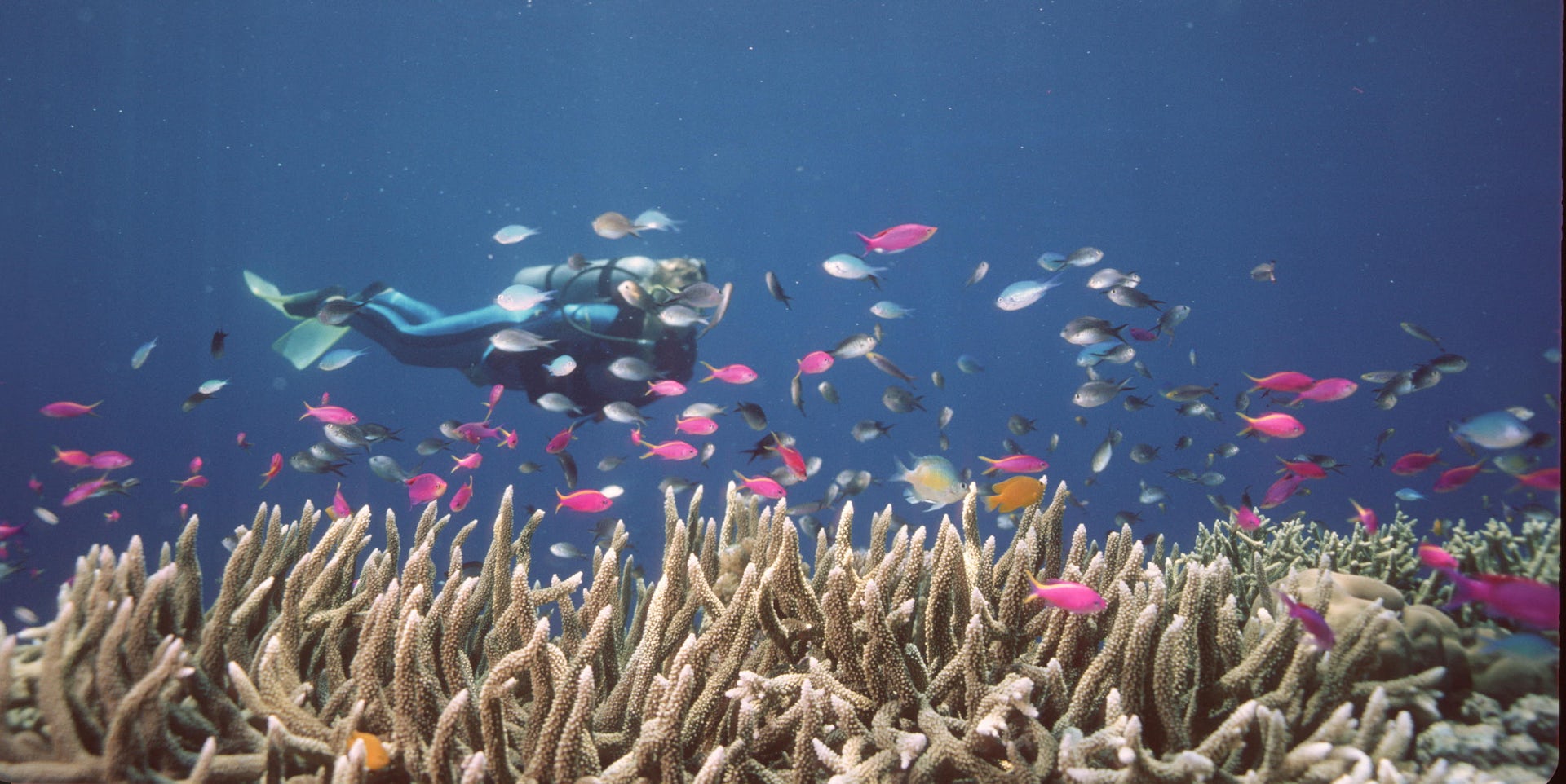 Do we value our oceans?