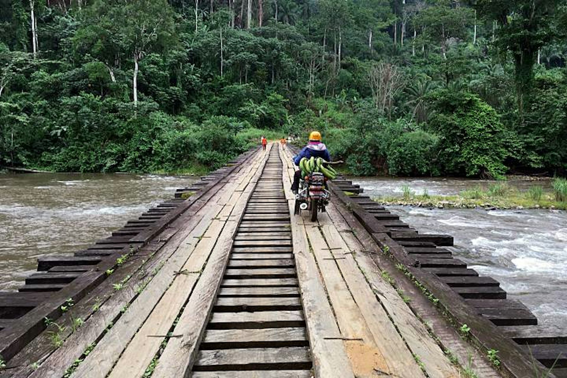 Eyes in the sky and on the ground are helping forest conservation in ...