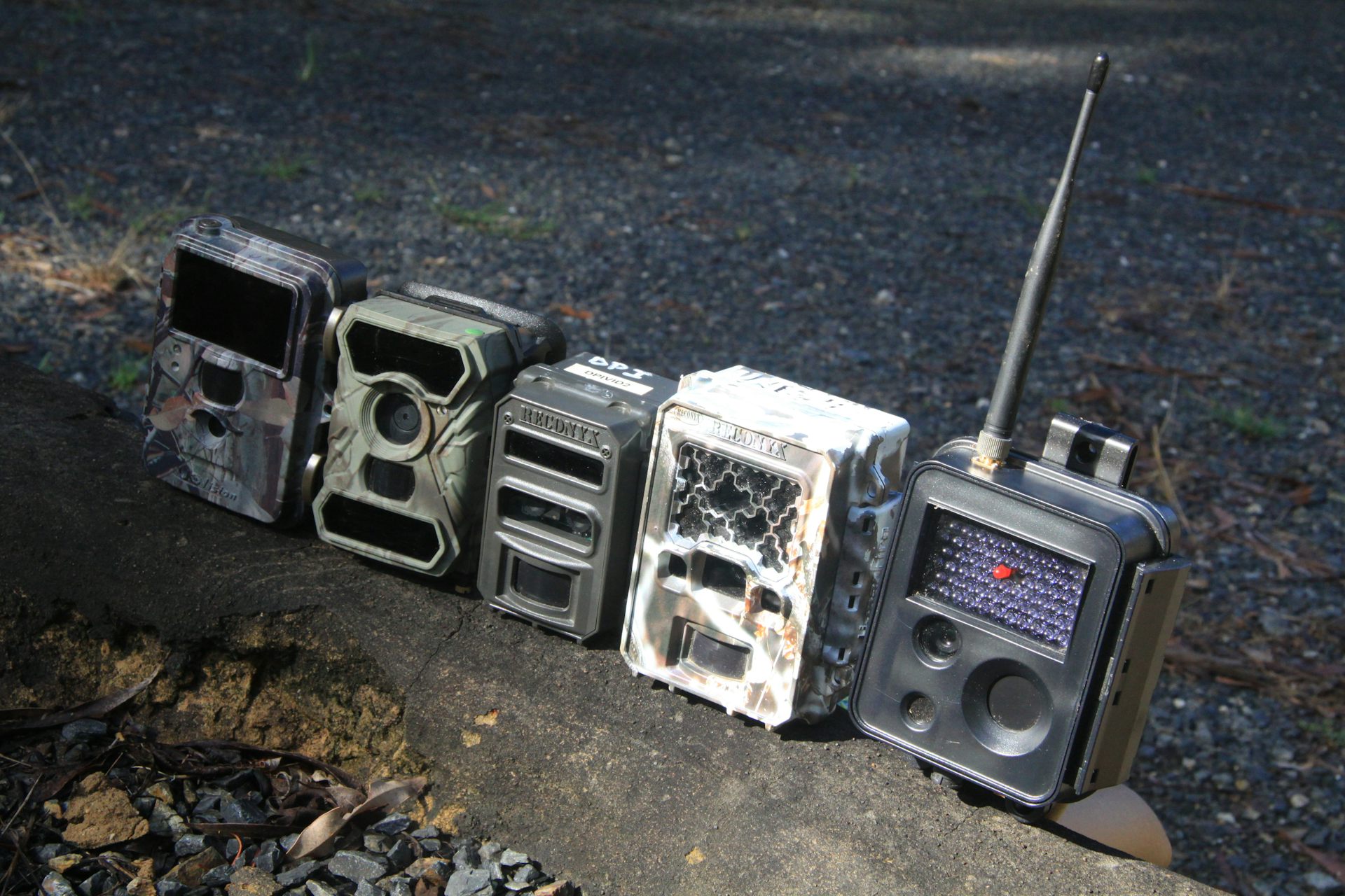 How to stop the thieves when all we want to capture is wildlife in action