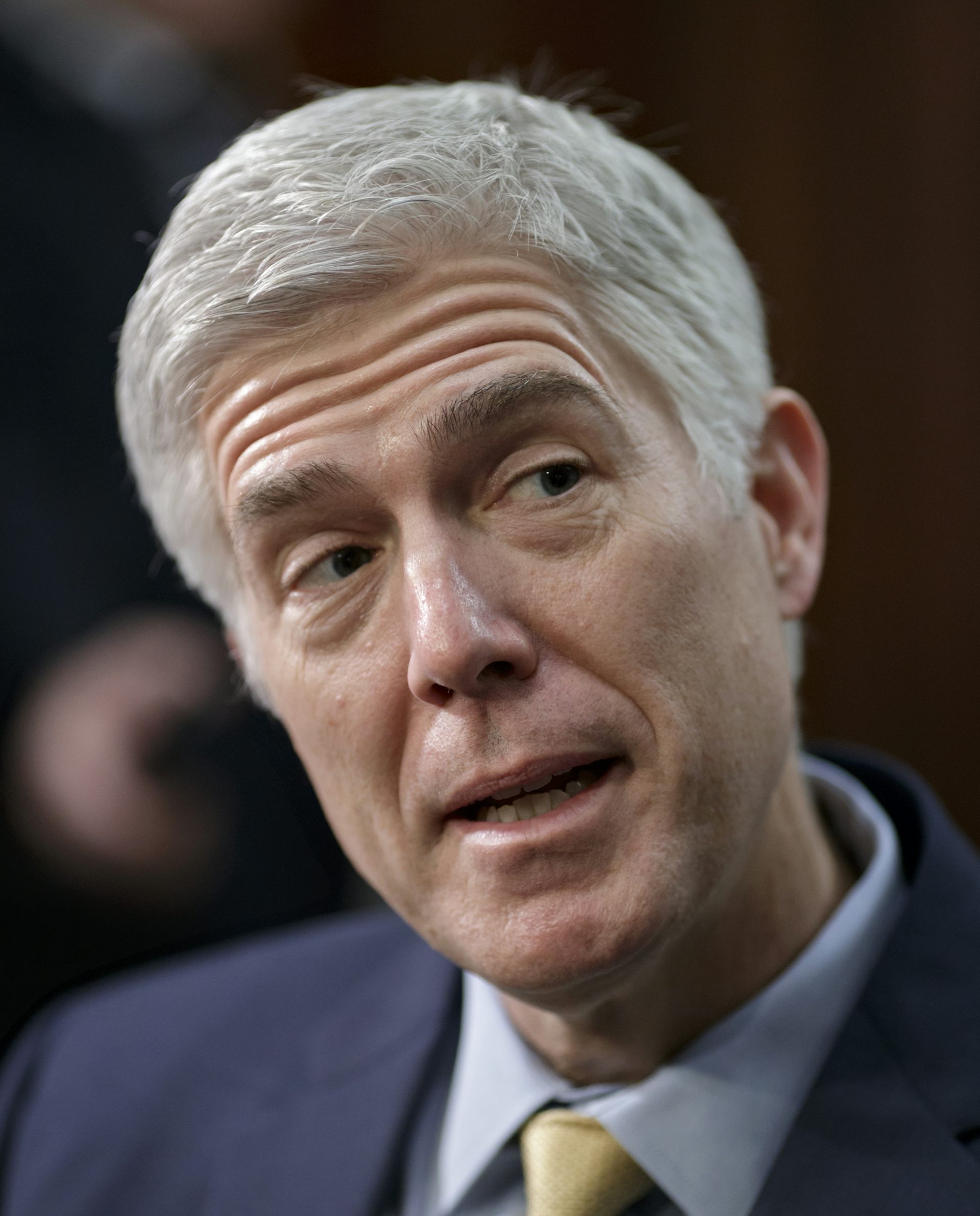 Neil Gorsuch and the First Amendment: Questions the Senate Judiciary ...