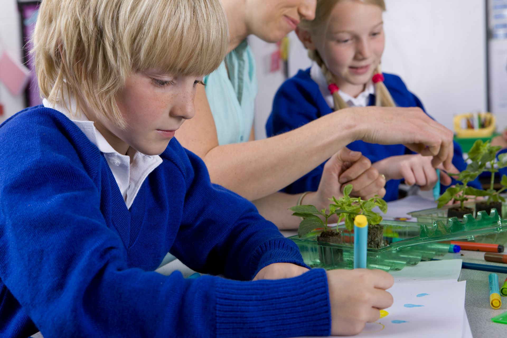 Science curriculum needs to do more to engage primary school students