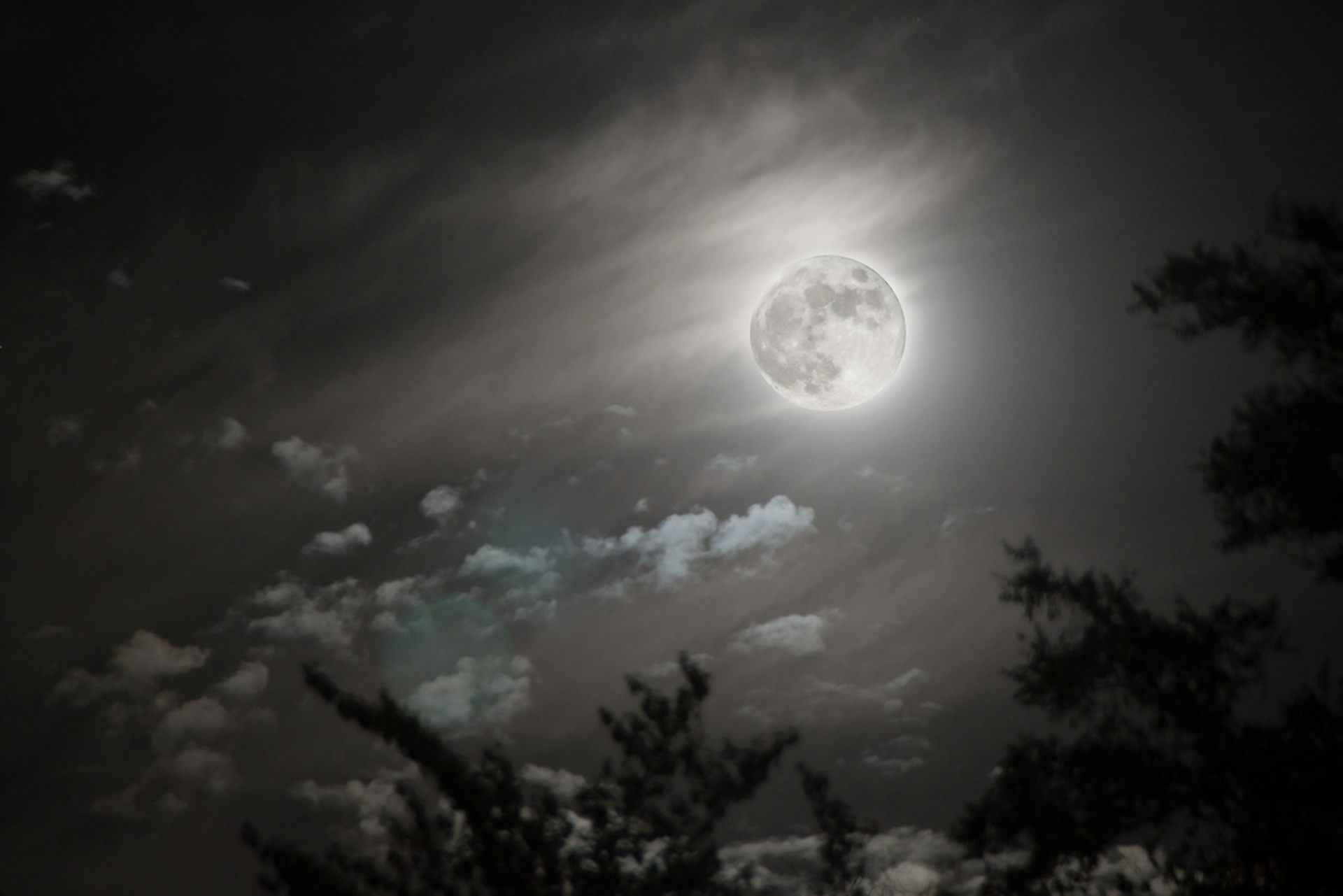 Blowin’ in the (solar) wind: how the moon got its water