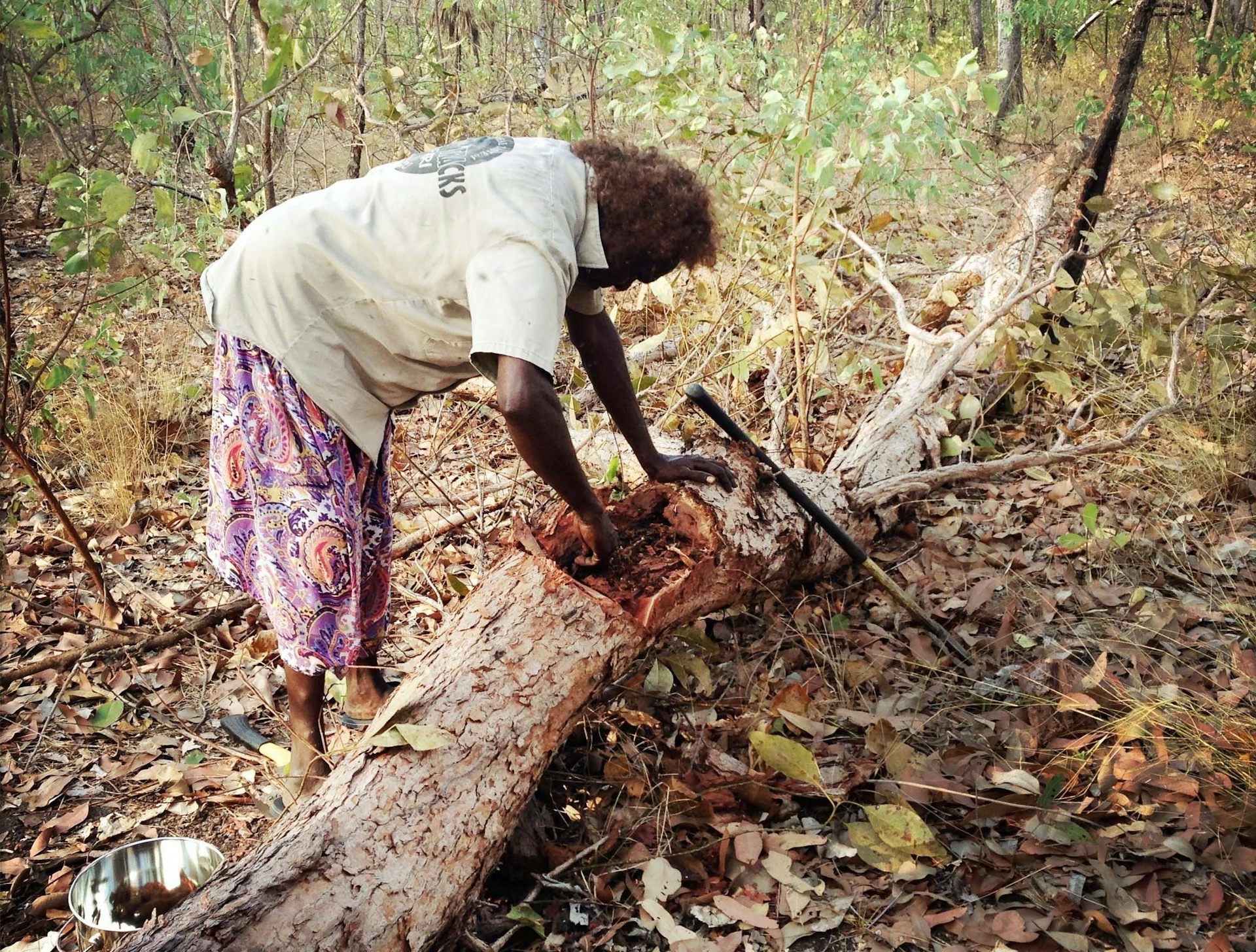 Myths about musculoskeletal pain and Aboriginal Australians prevent ...