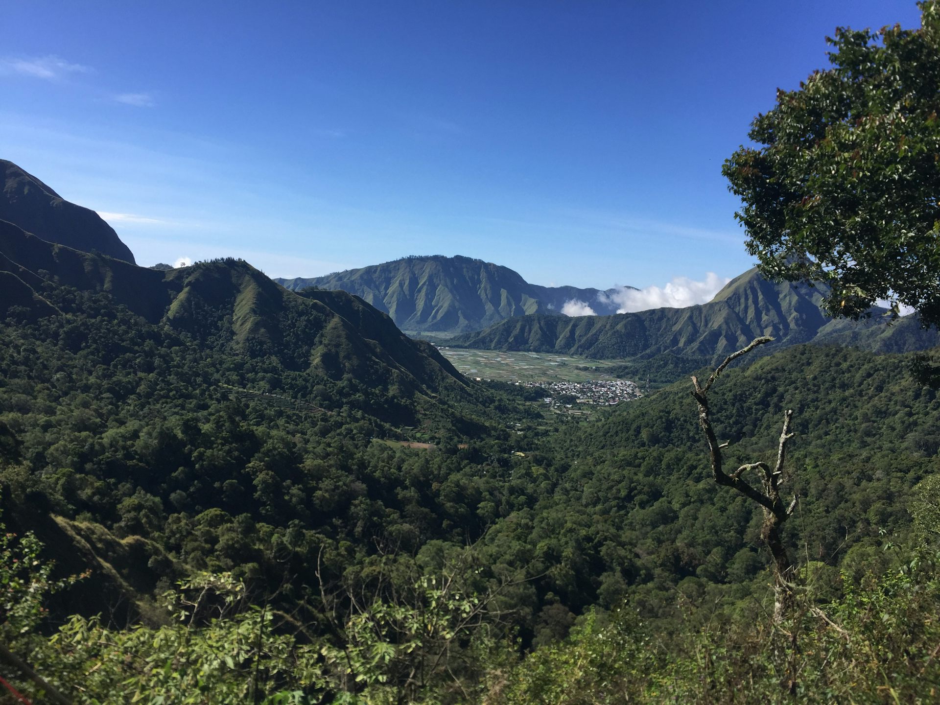 To conserve forests, we need to think beyond current ideas of ...