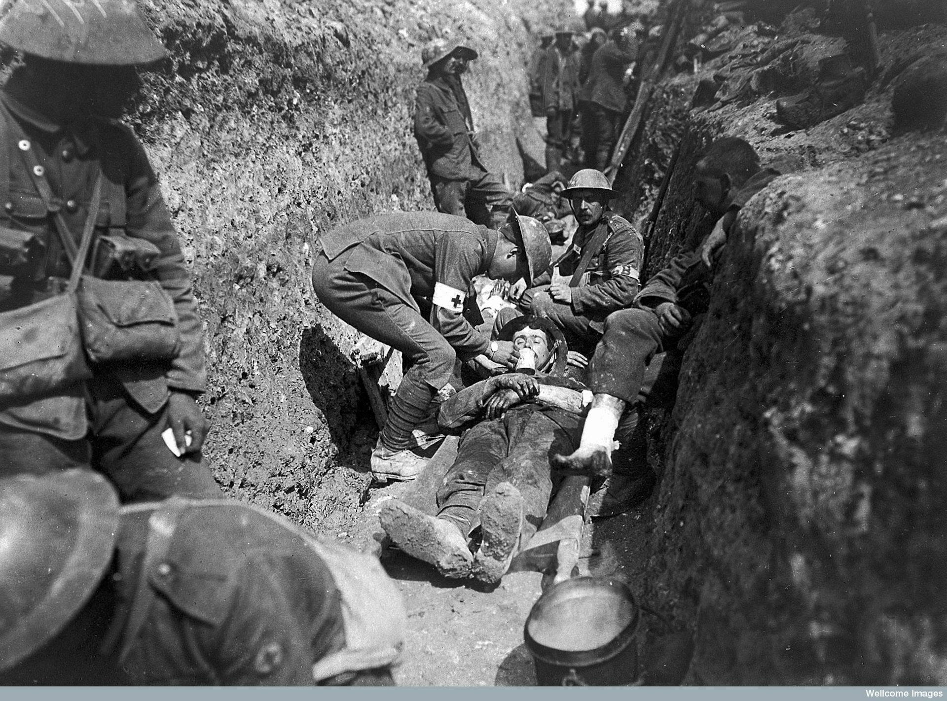 Discovered in WWI, bacterial viruses may be our allies in a post ...