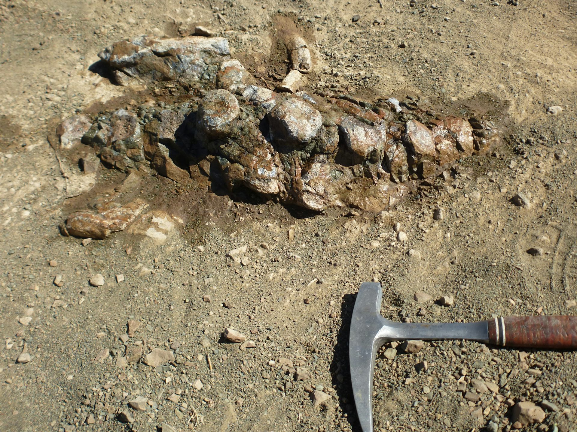 It’s time to celebrate Africa’s forgotten fossil hunters