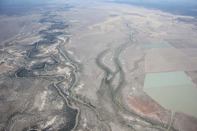 More flooding in the Murray-Darling basin could be good news for farmers More flooding in the Murray-Darling basin could be good news for farmers