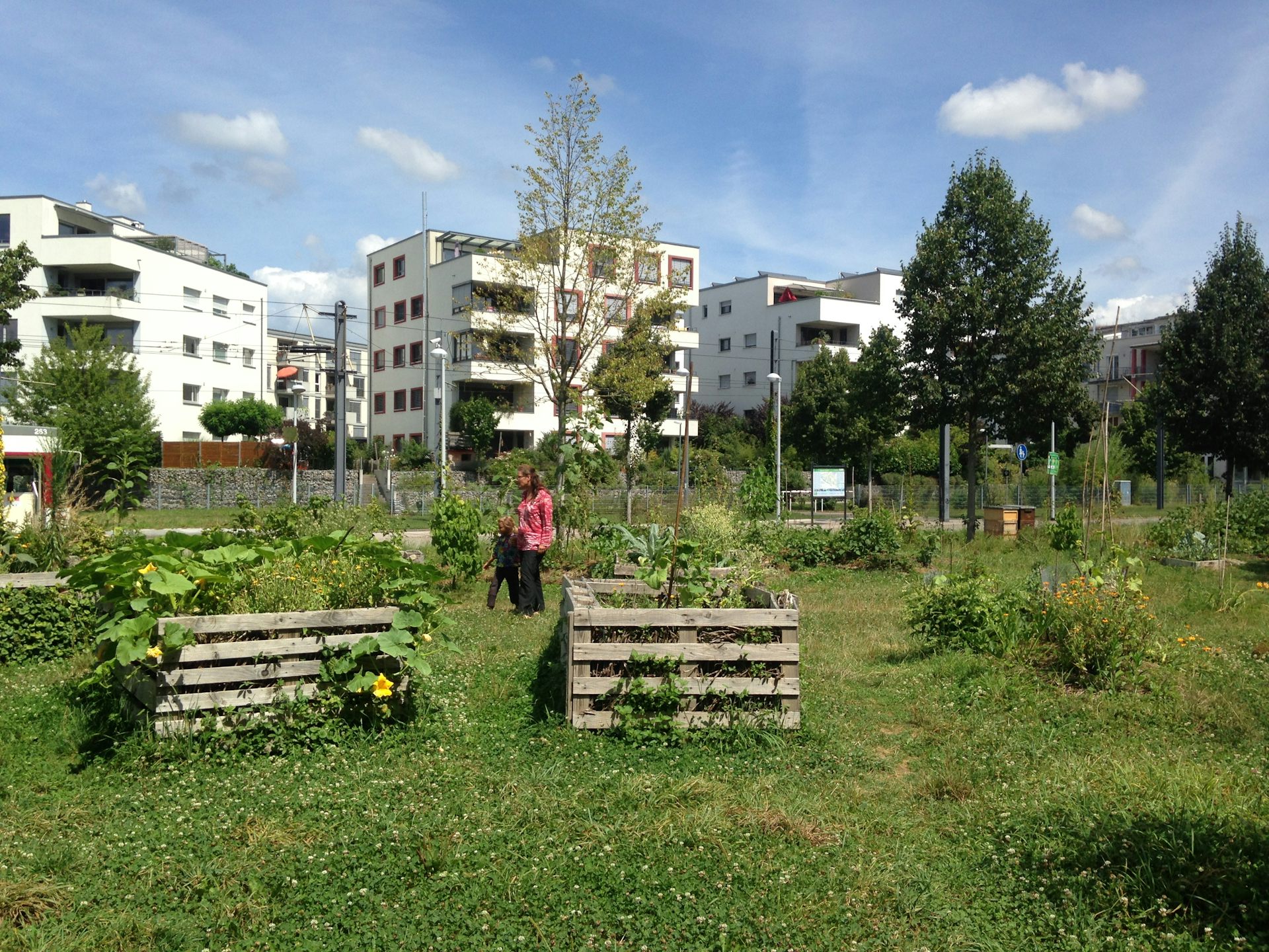 Green space – how much is enough, and what’s the best way to deliver it?