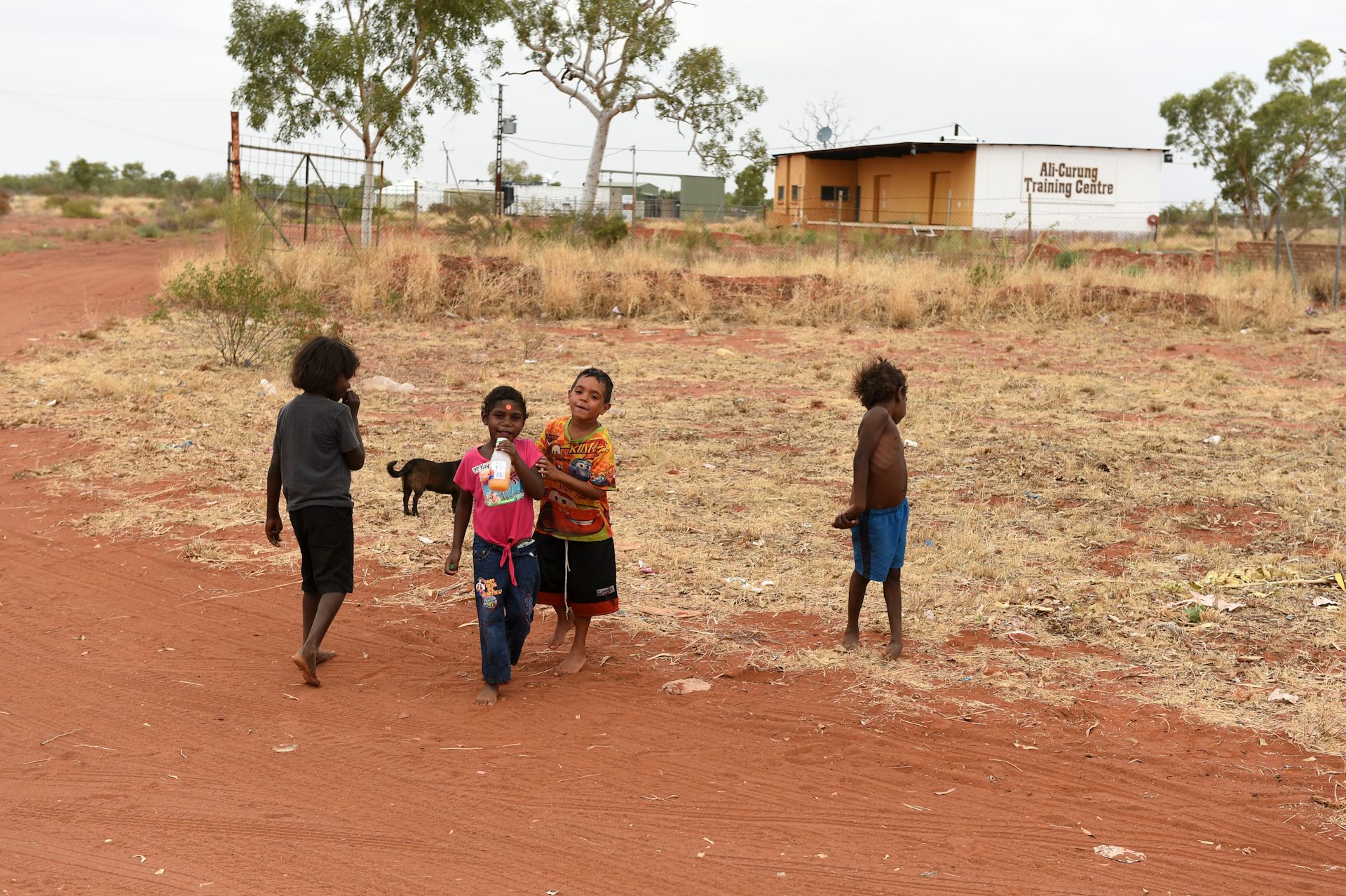 Census 2016: what’s changed for Indigenous Australians?