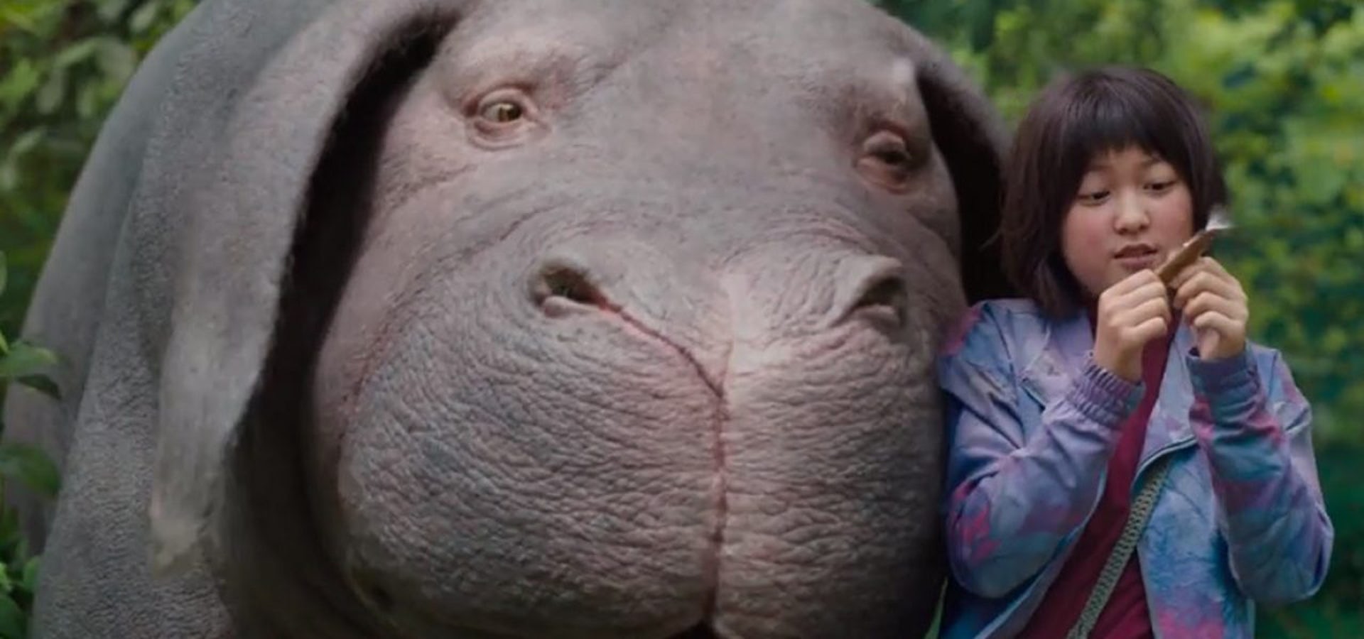 Okja: a film that provides food for thought on ‘sustainable’ meat ...