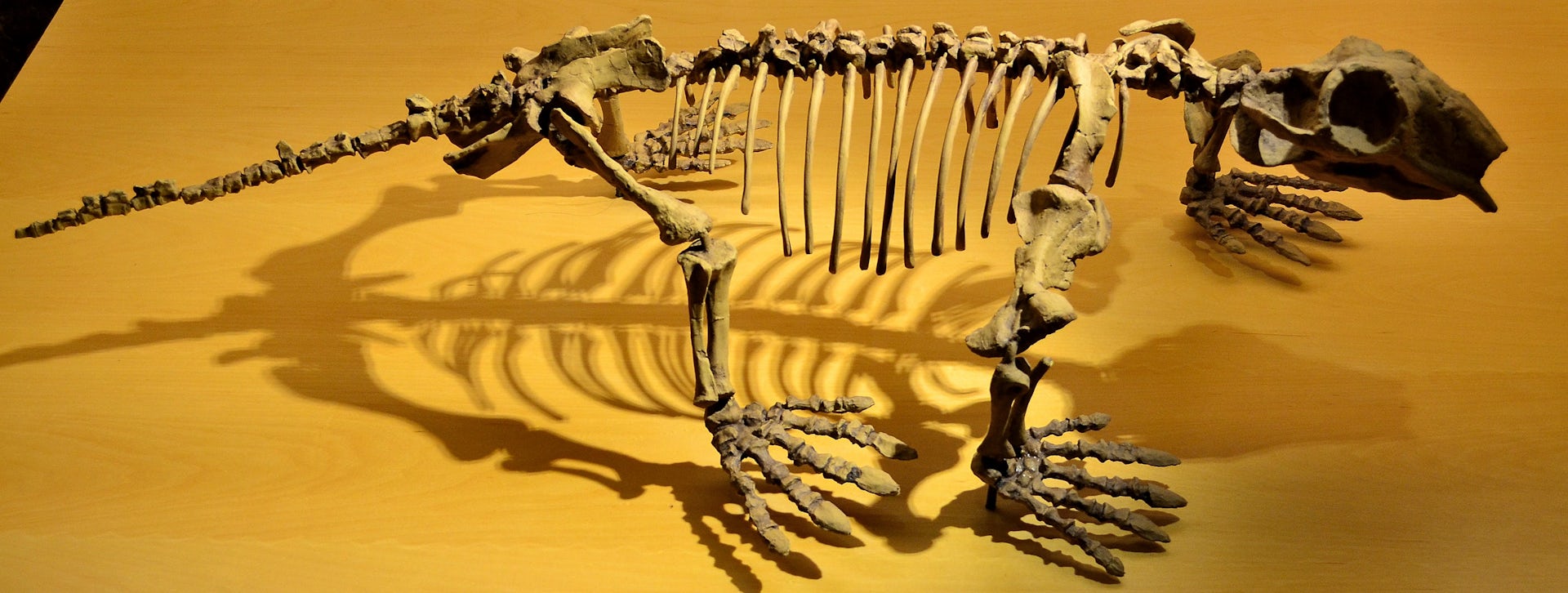 More than 252 million years ago, mammal ancestors became warm-blooded ...