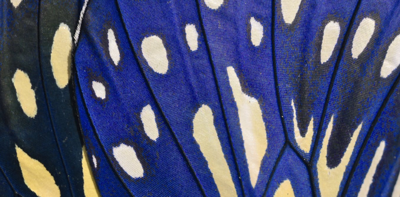 Explainer: how scientists invent new colours Explainer: how scientists invent new colours