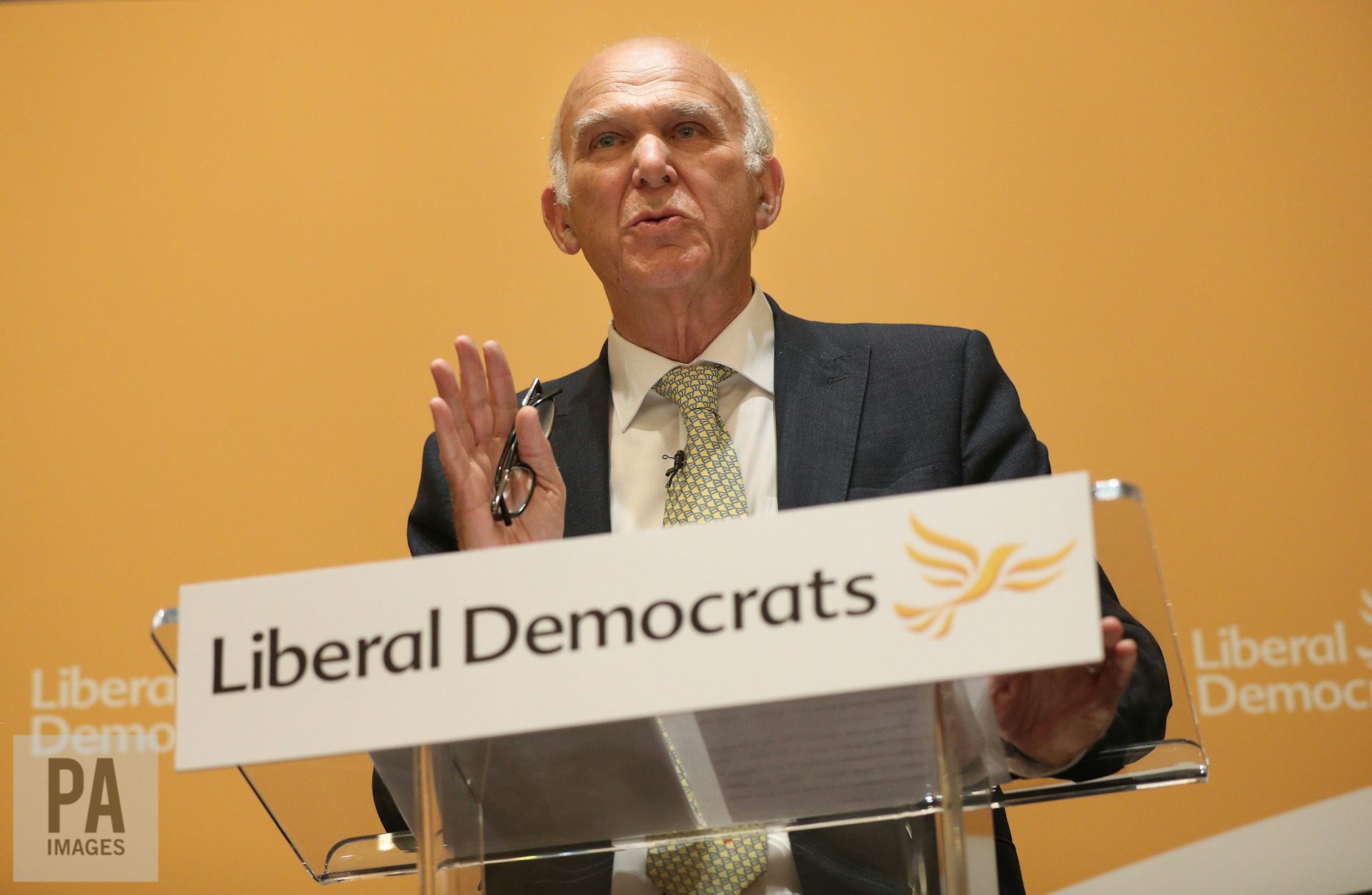 Vince Cable’s to-do list: a daunting time ahead for the Lib Dem leader