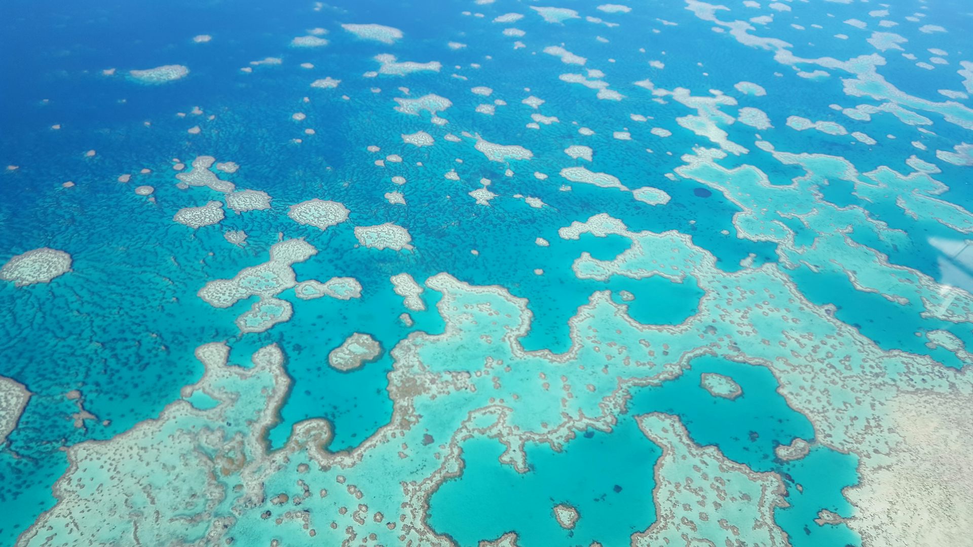 As a coastal defence, the Great Barrier Reef’s value to communities ...