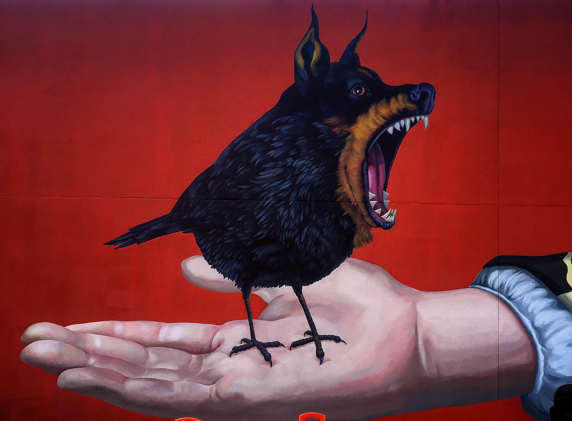 Global series: Wild world