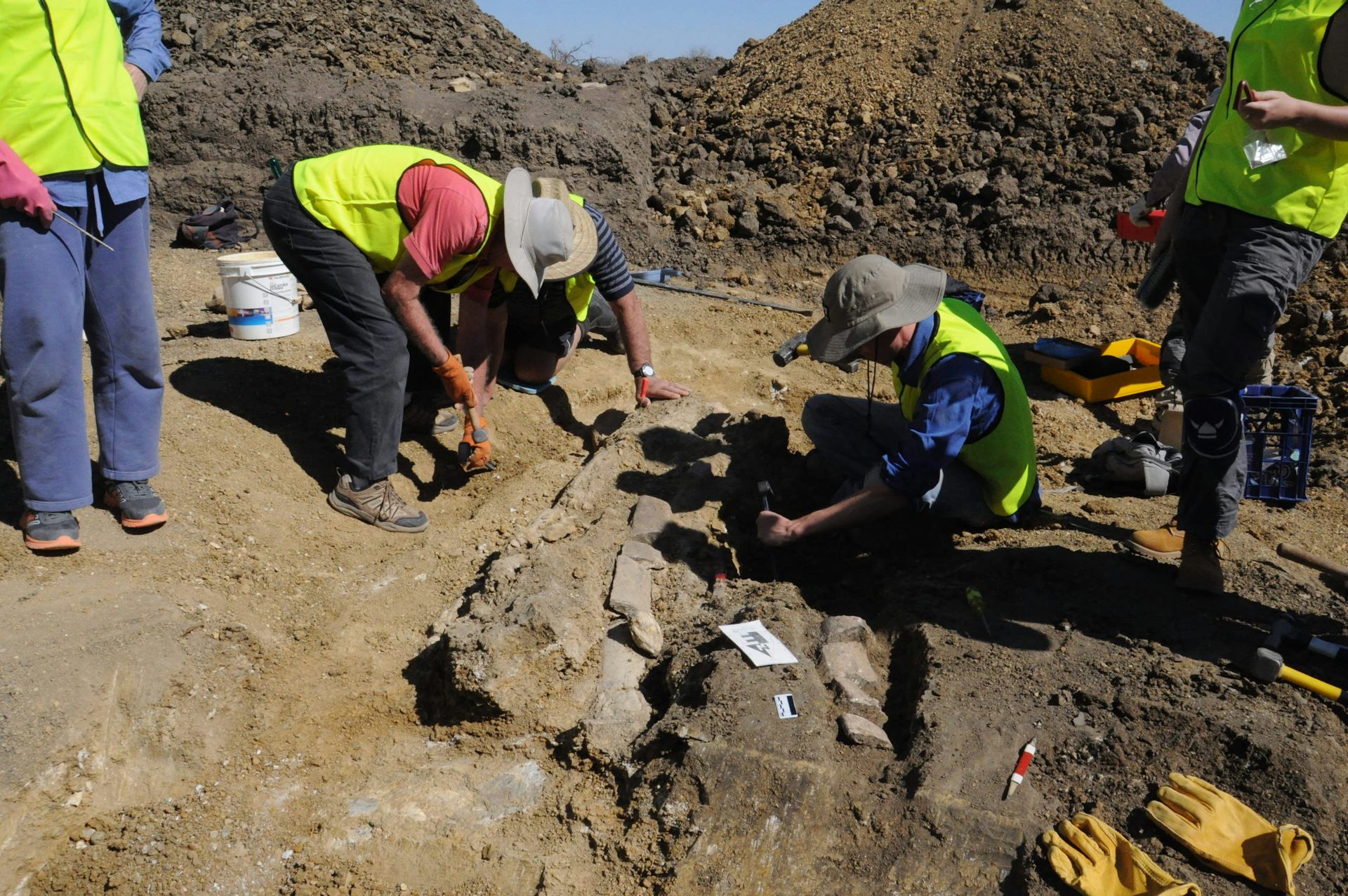 A new look at a lost dinosaur dig in the Australian outback