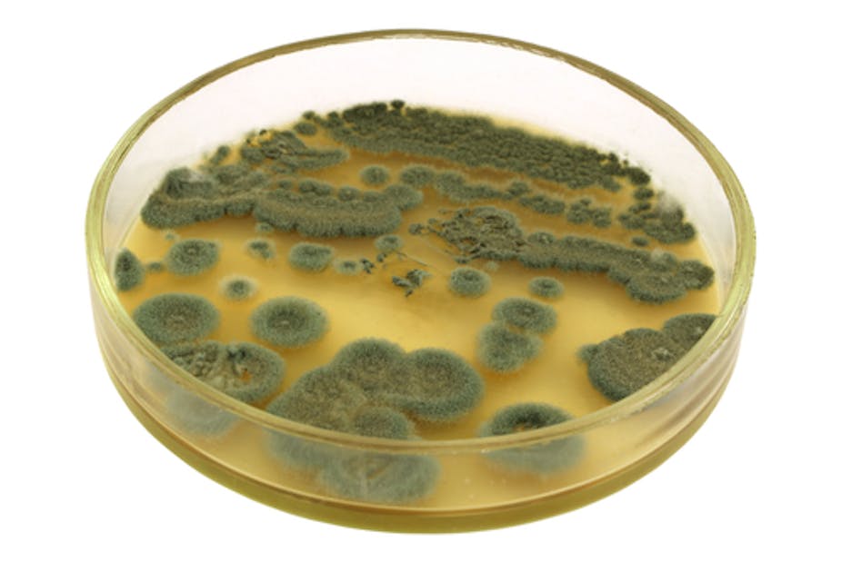 Why you may not need all those days of antibiotics Why you may not need all those days of antibiotics