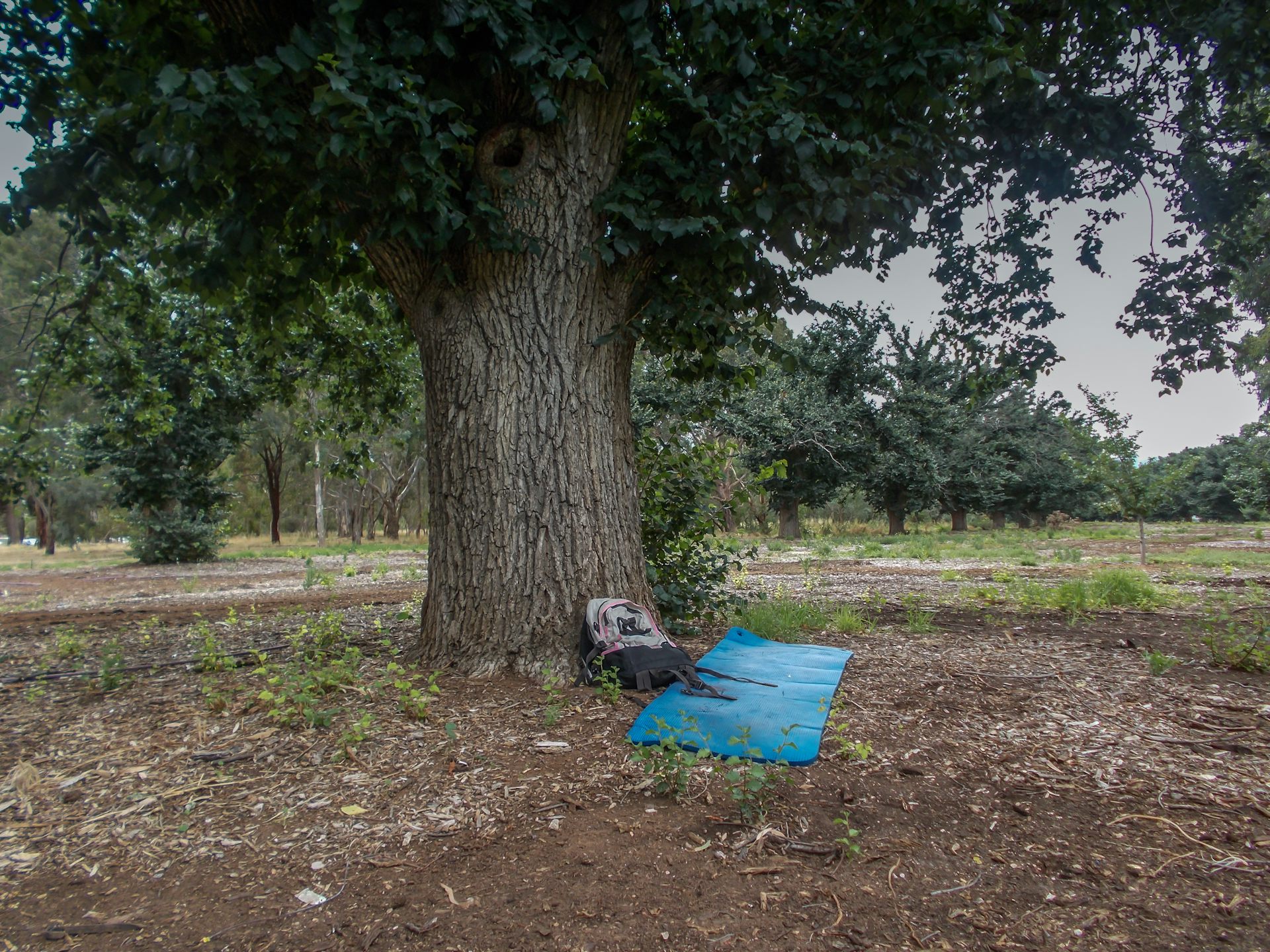 Extreme weather makes homelessness even worse. Here’s how we can help