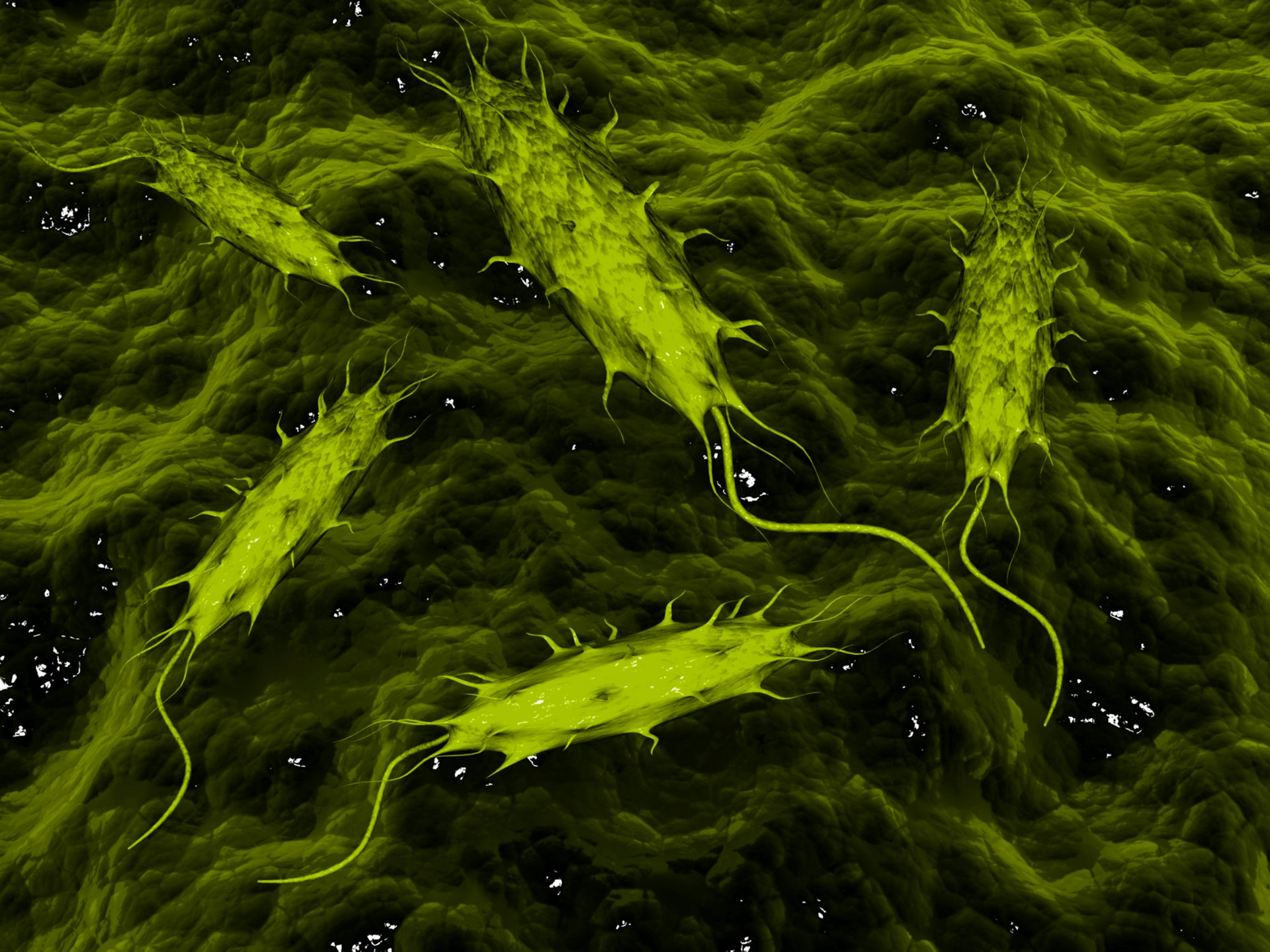 Parasites inside your body could be protecting you from disease