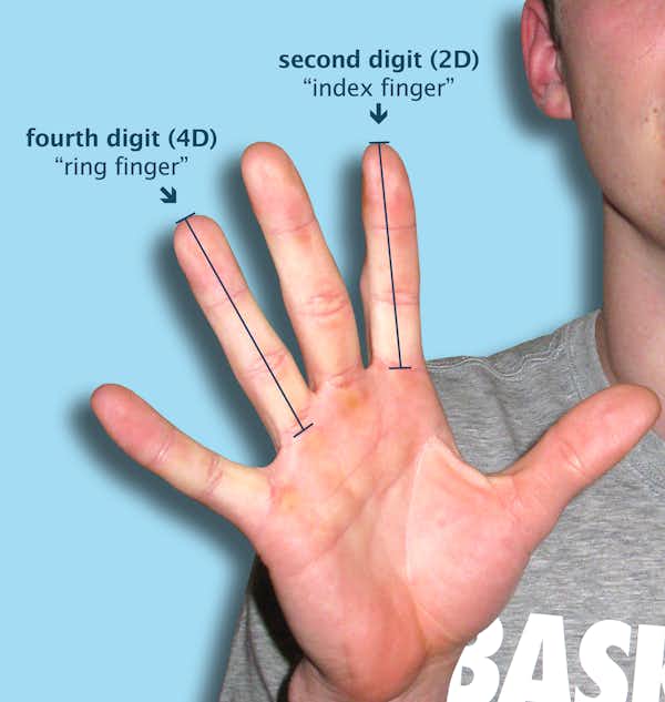 Finger Size Does Matter In Sports Finger Size Does Matter In Sports