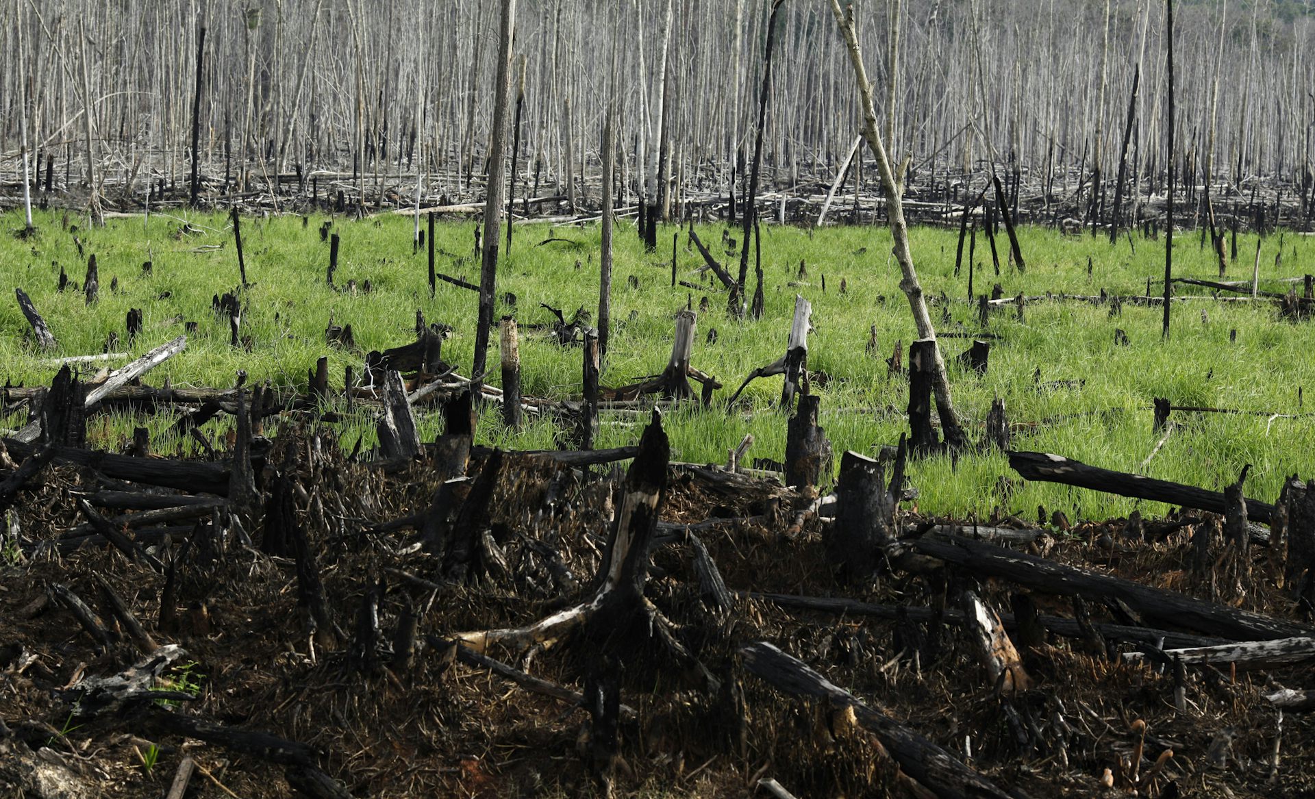 Zero-burning policy hurts small farmers – a flexible approach is needed