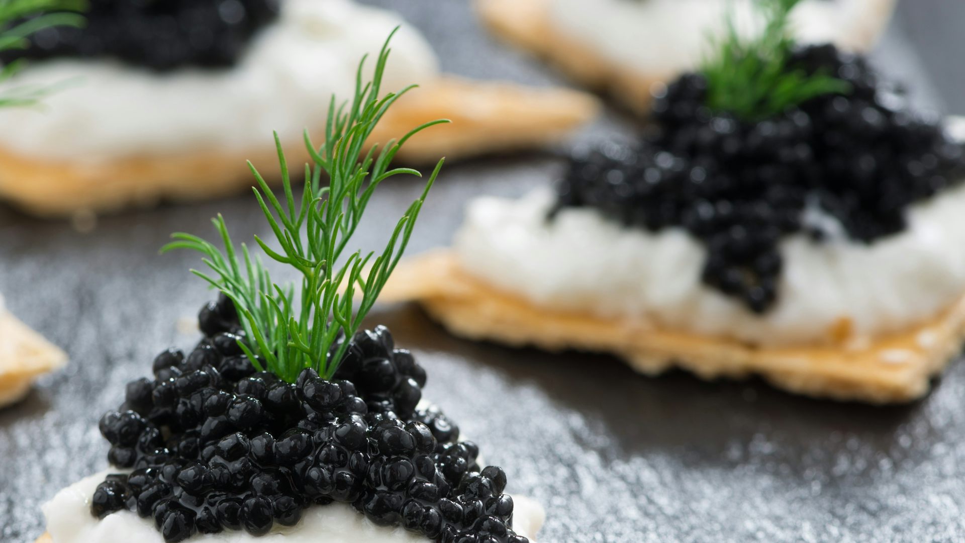 Let them eat caviar: When charity galas waste money