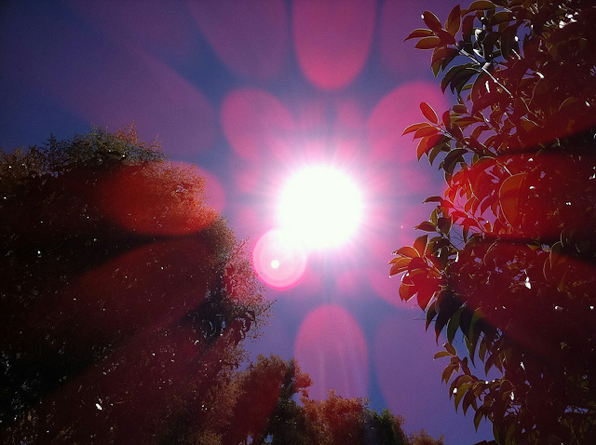 20 years on, climate change projections have come true