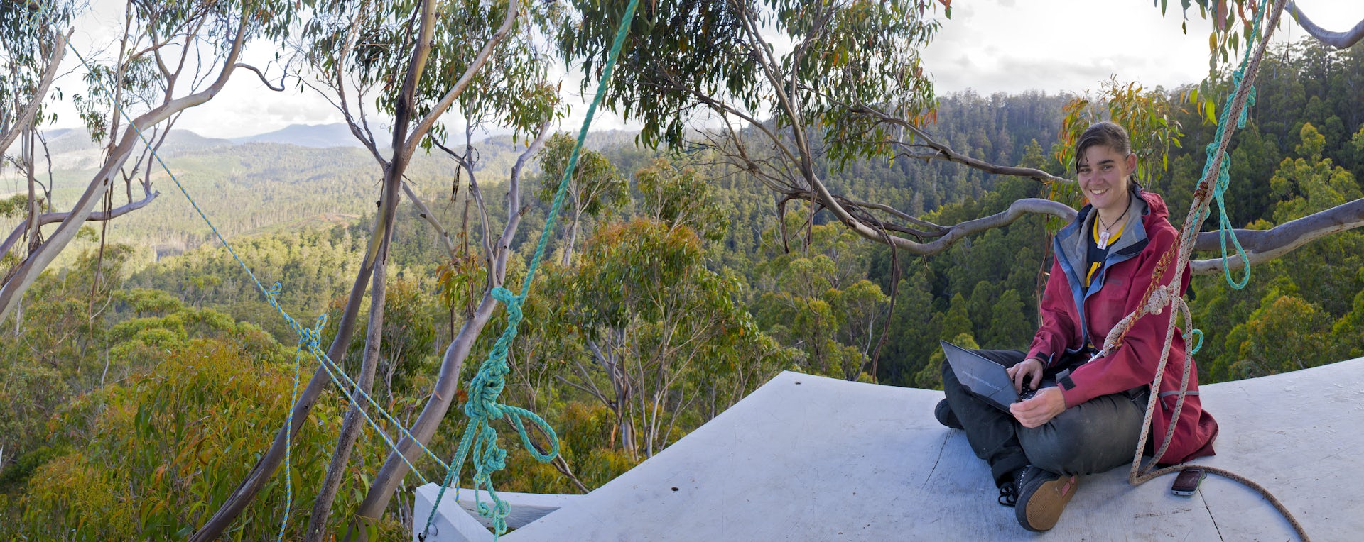 Digital tree-sitting: environmental protest when media is everywhere