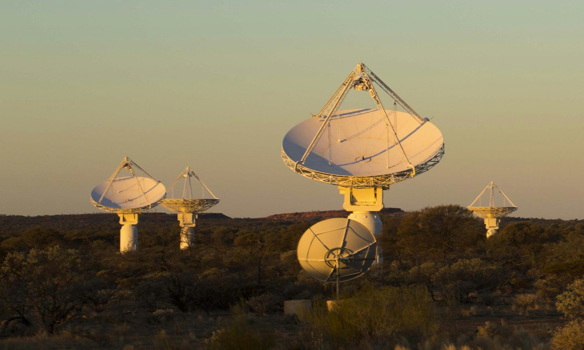 Expect the unexpected from the big-data boom in radio astronomy