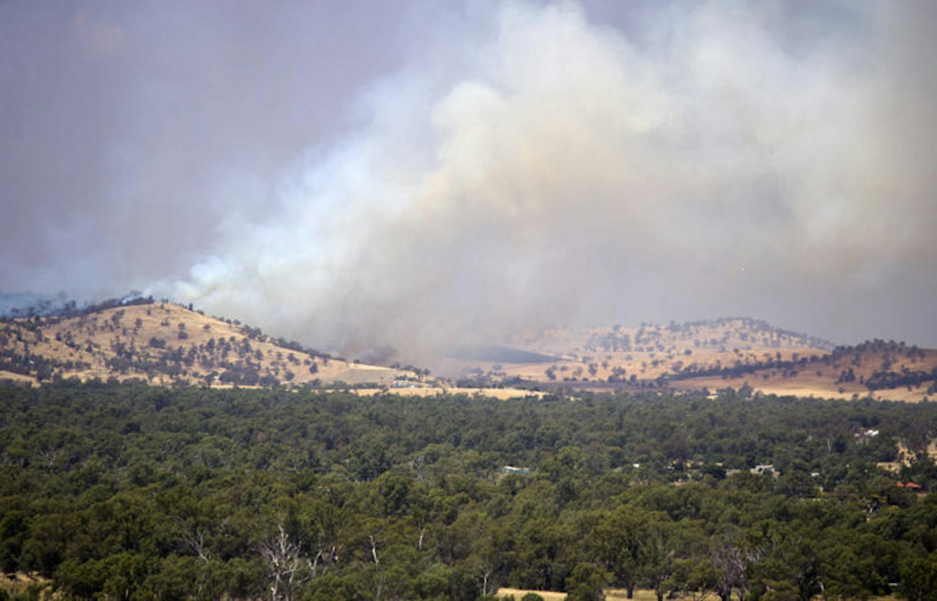 As climate warms, heat waves outpace cold snaps three to one