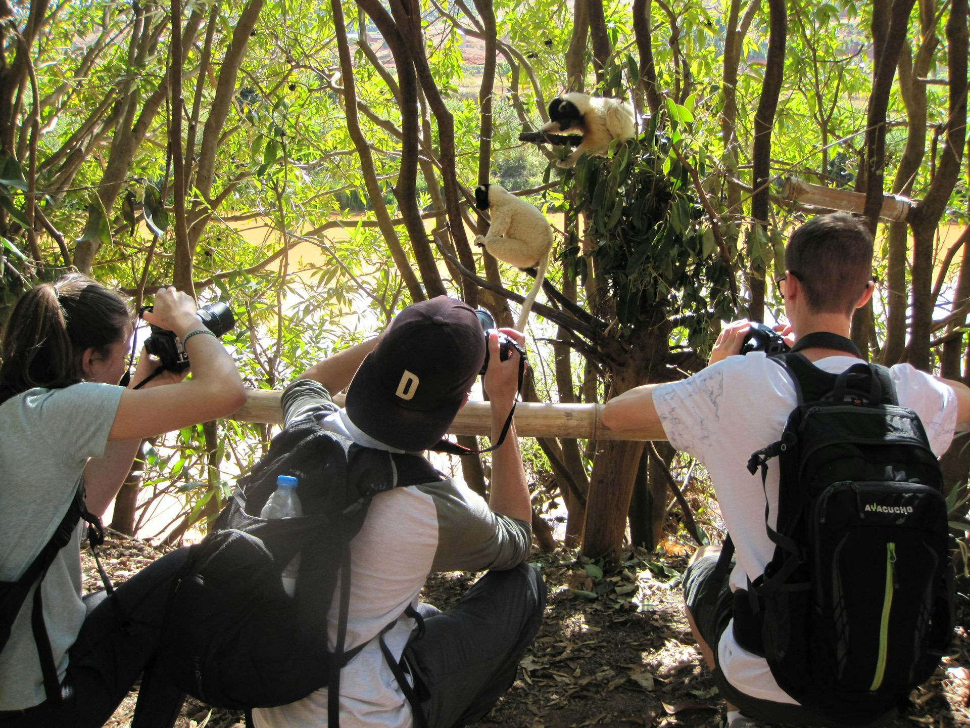 How to behave at a zoo – according to science