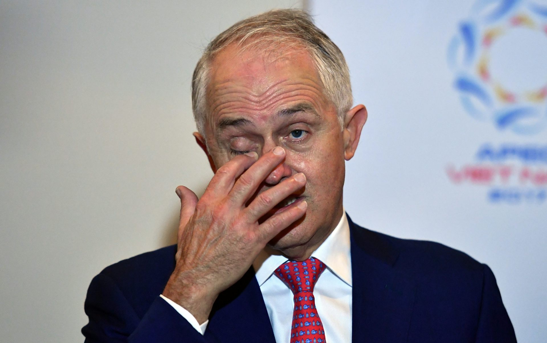 VIDEO: Michelle Grattan on the never-ending citizenship crisis