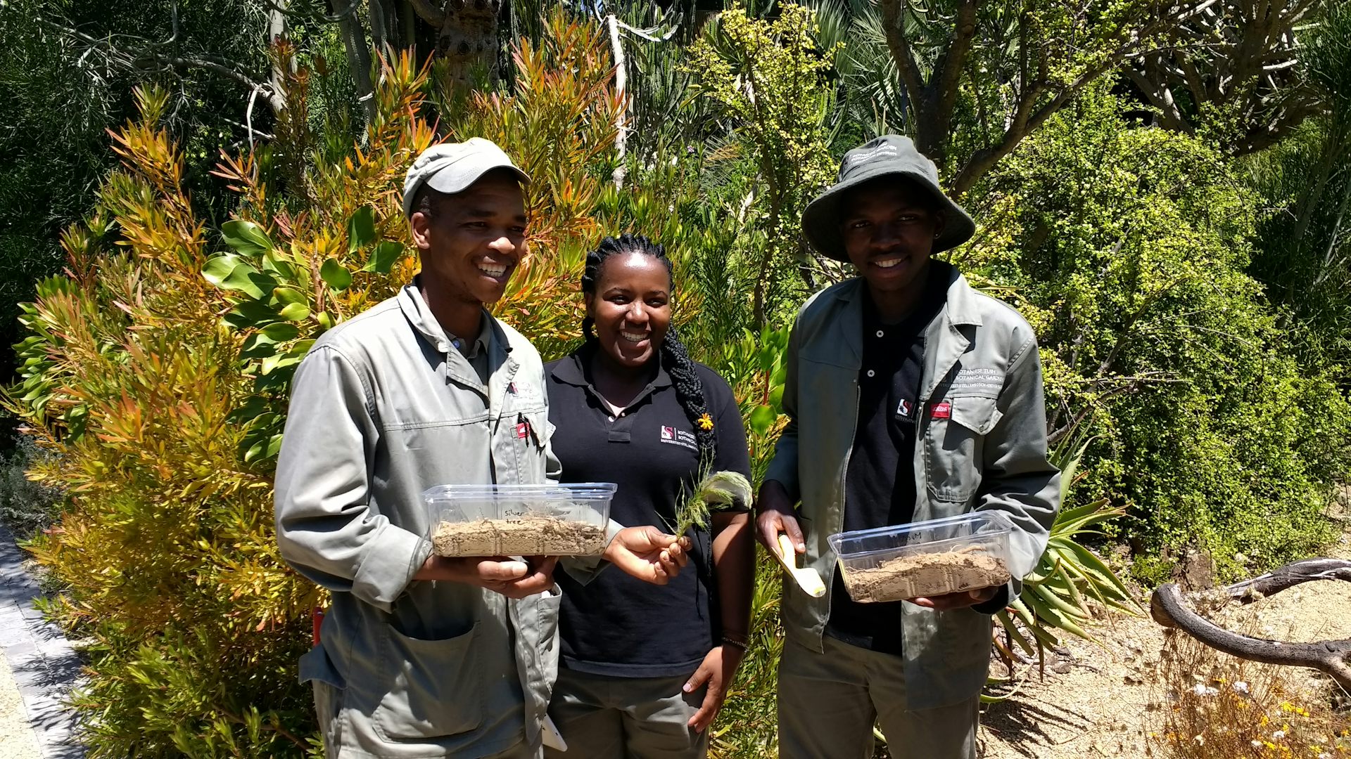 Citizen science: how ordinary people can guard Cape Town’s biodiversity