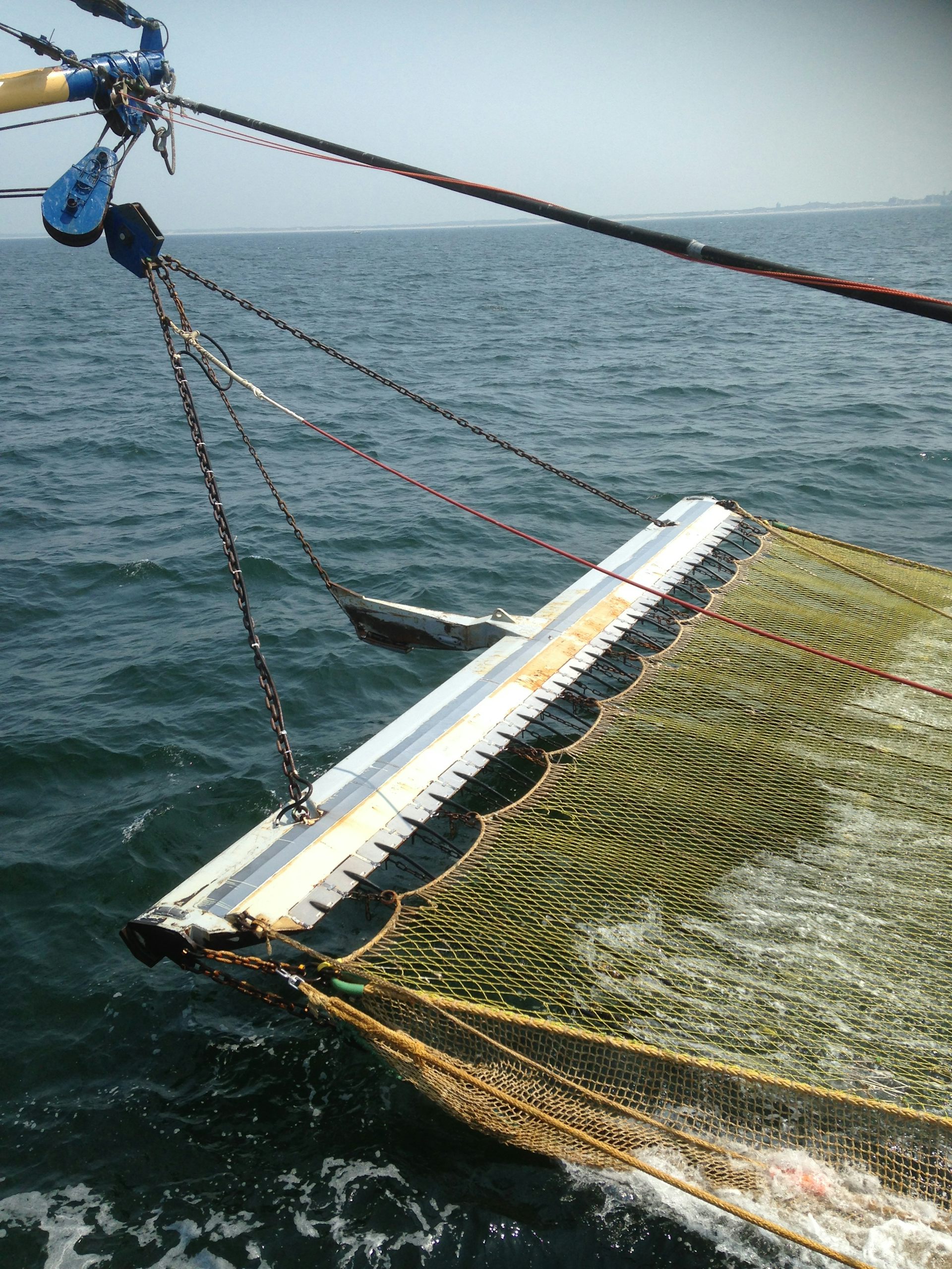 Is fishing with electricity less destructive than digging up the seabed ...