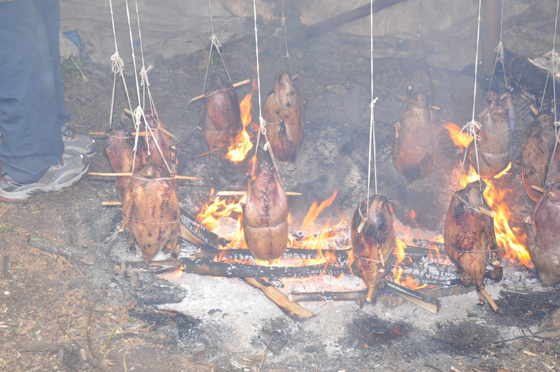 Indigenous group tackles diabetes with storytelling