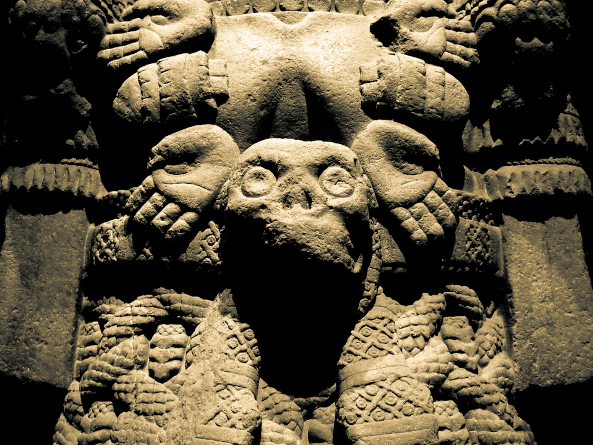 Have scientists really found the germ responsible for killing 15m Aztecs?