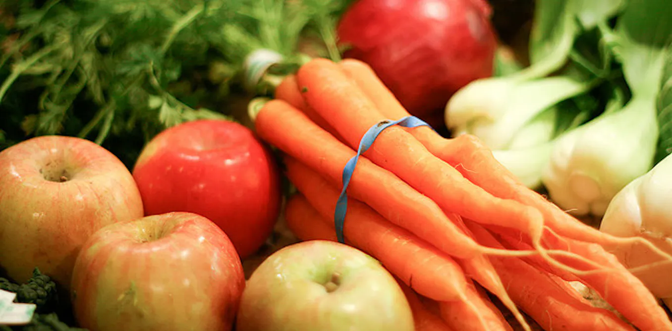 New Australian Dietary Guidelines Experts Respond new-australian-dietary-guidelines-experts-respond