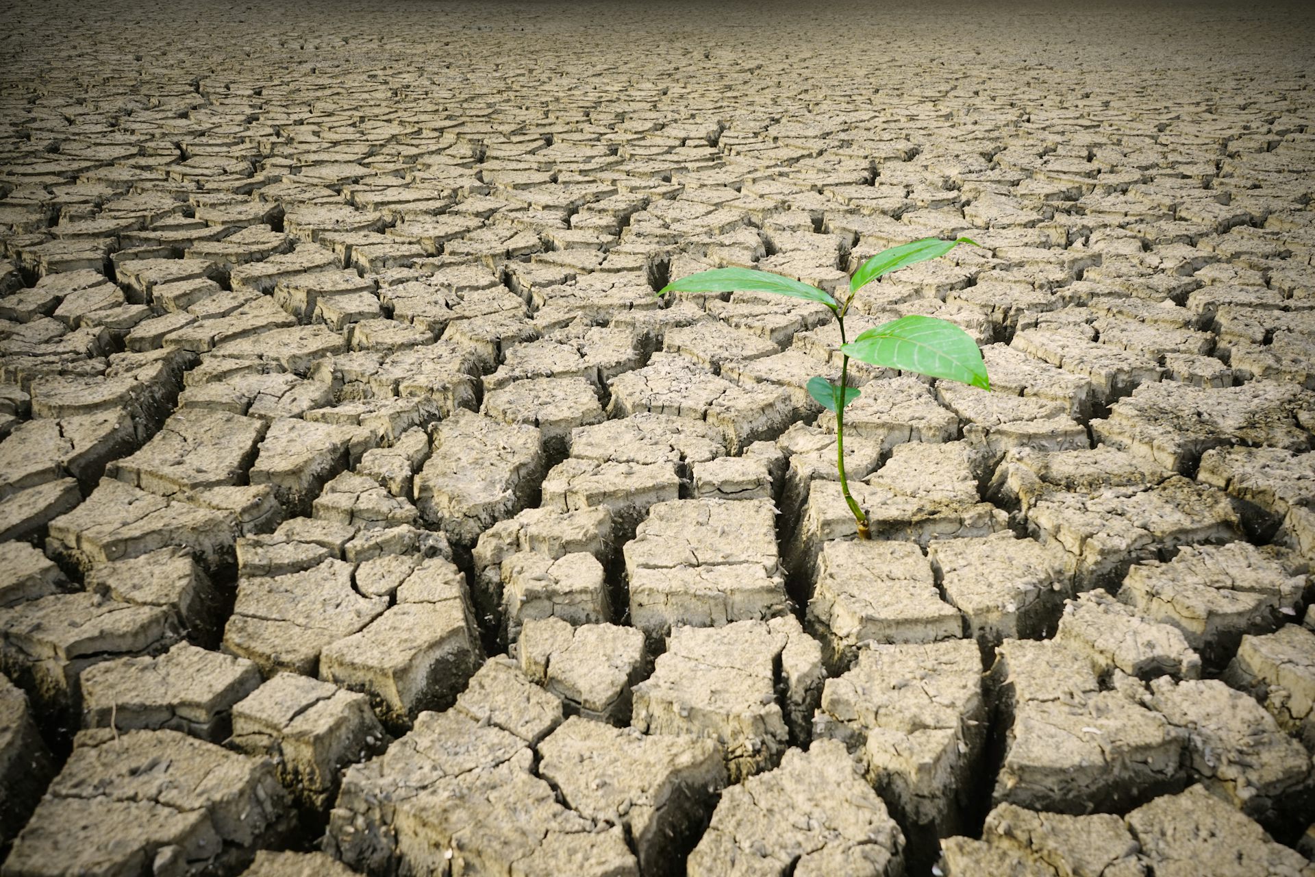 Hope from chaos: could political upheaval lead to a new green epoch?