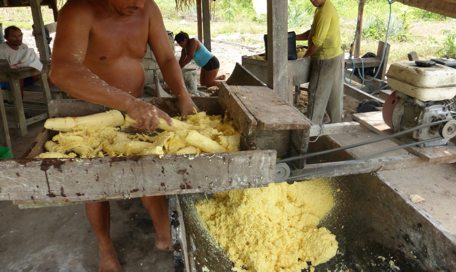We spent a year photographing the animal crop raiders of the Amazon ...