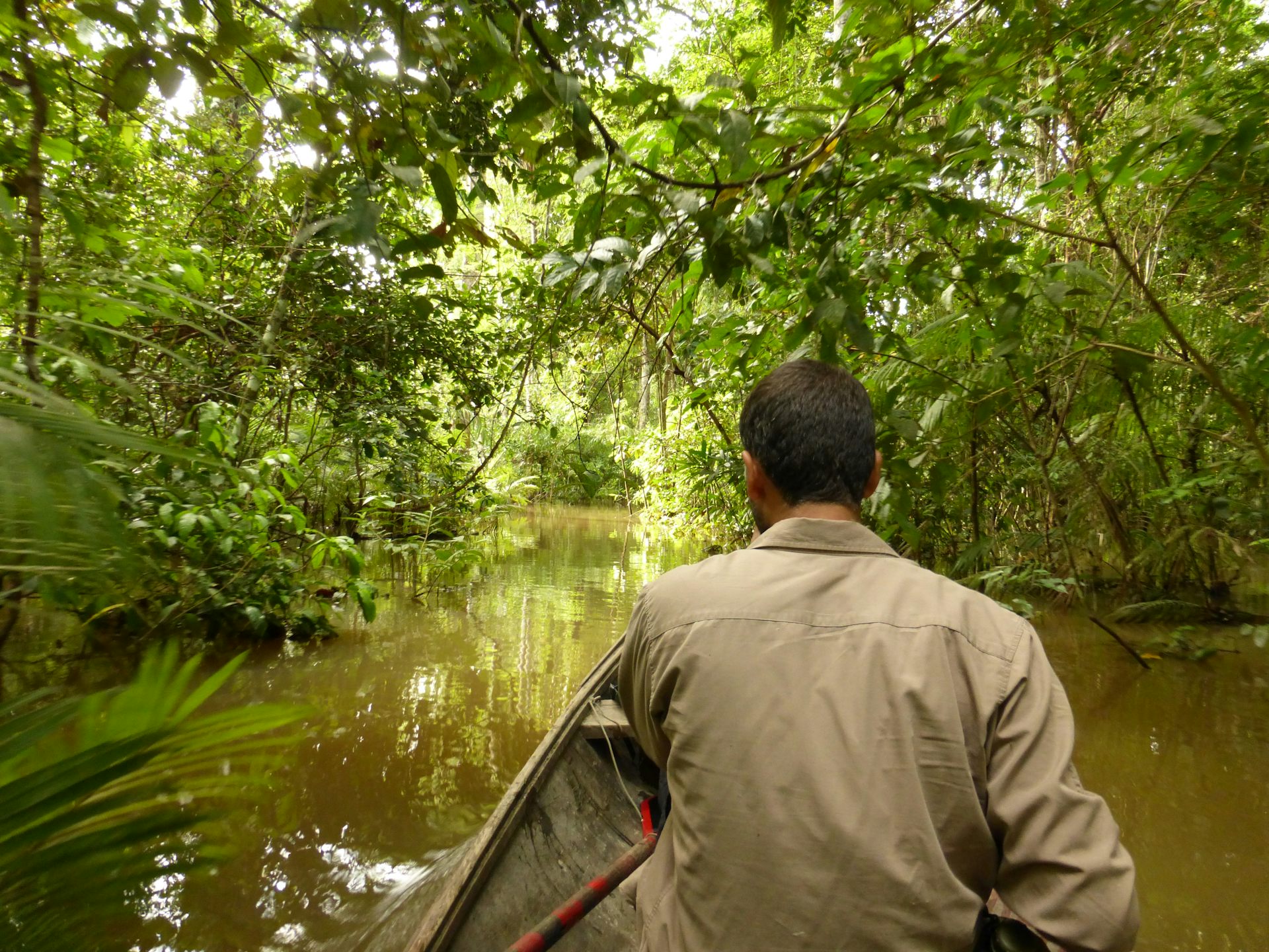 We spent a year photographing the animal crop raiders of the Amazon ...