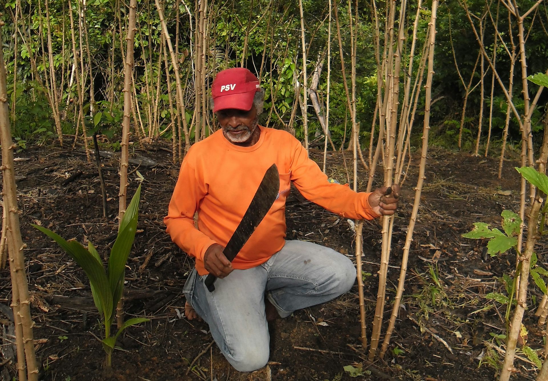 We spent a year photographing the animal crop raiders of the Amazon ...