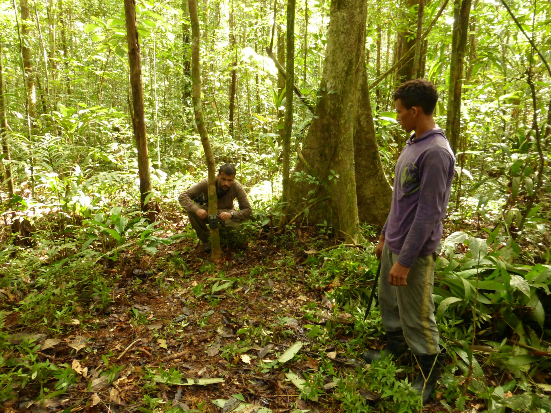 We spent a year photographing the animal crop raiders of the Amazon ...