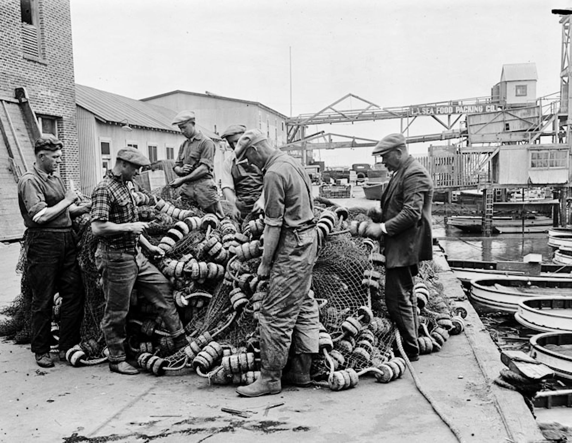 Super trawler gone, but is fisheries policy in trouble?