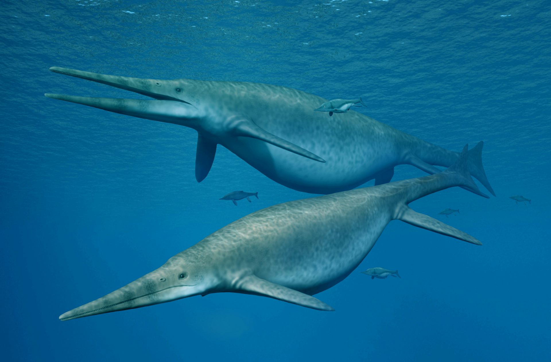 Ichthyosaurs – News, Research and Analysis – The Conversation – page 1