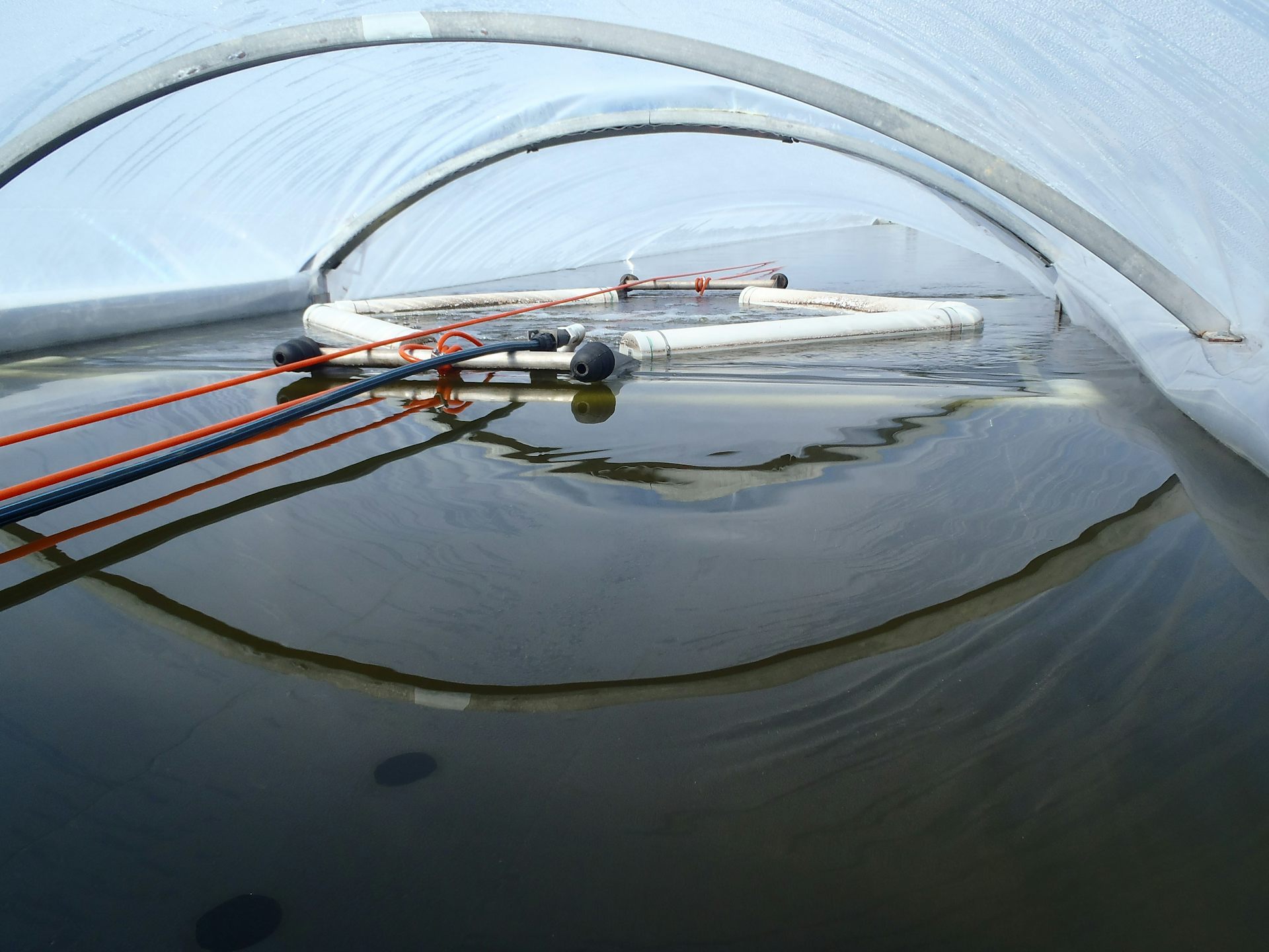 Explainer: what are algal biofuels?