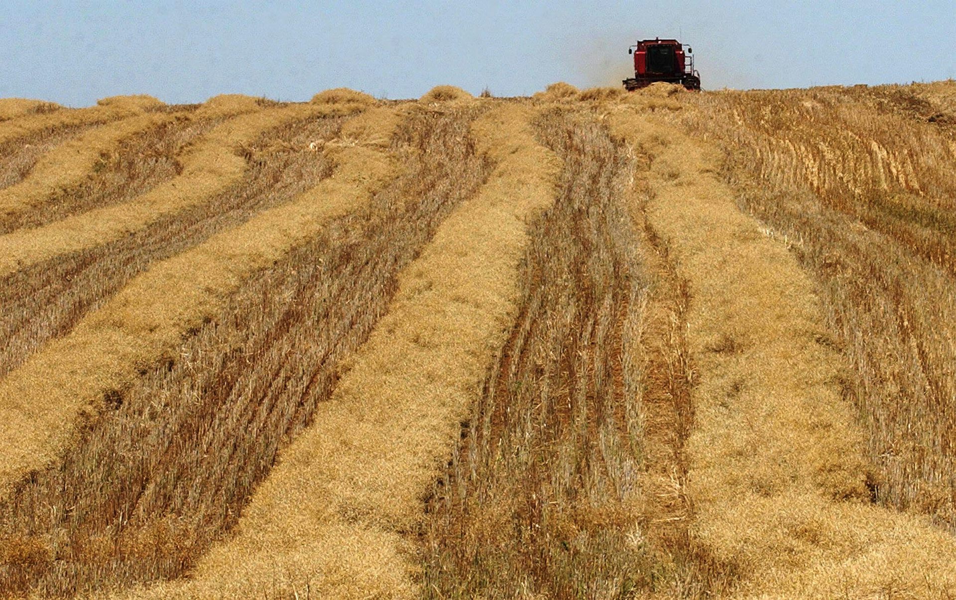 Explainer: what are biofuels?