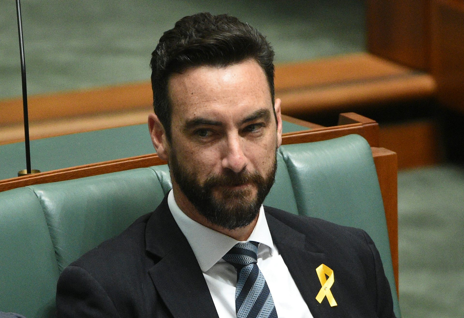 Labor MP Tim Hammond quits for family reasons, creating byelection in WA